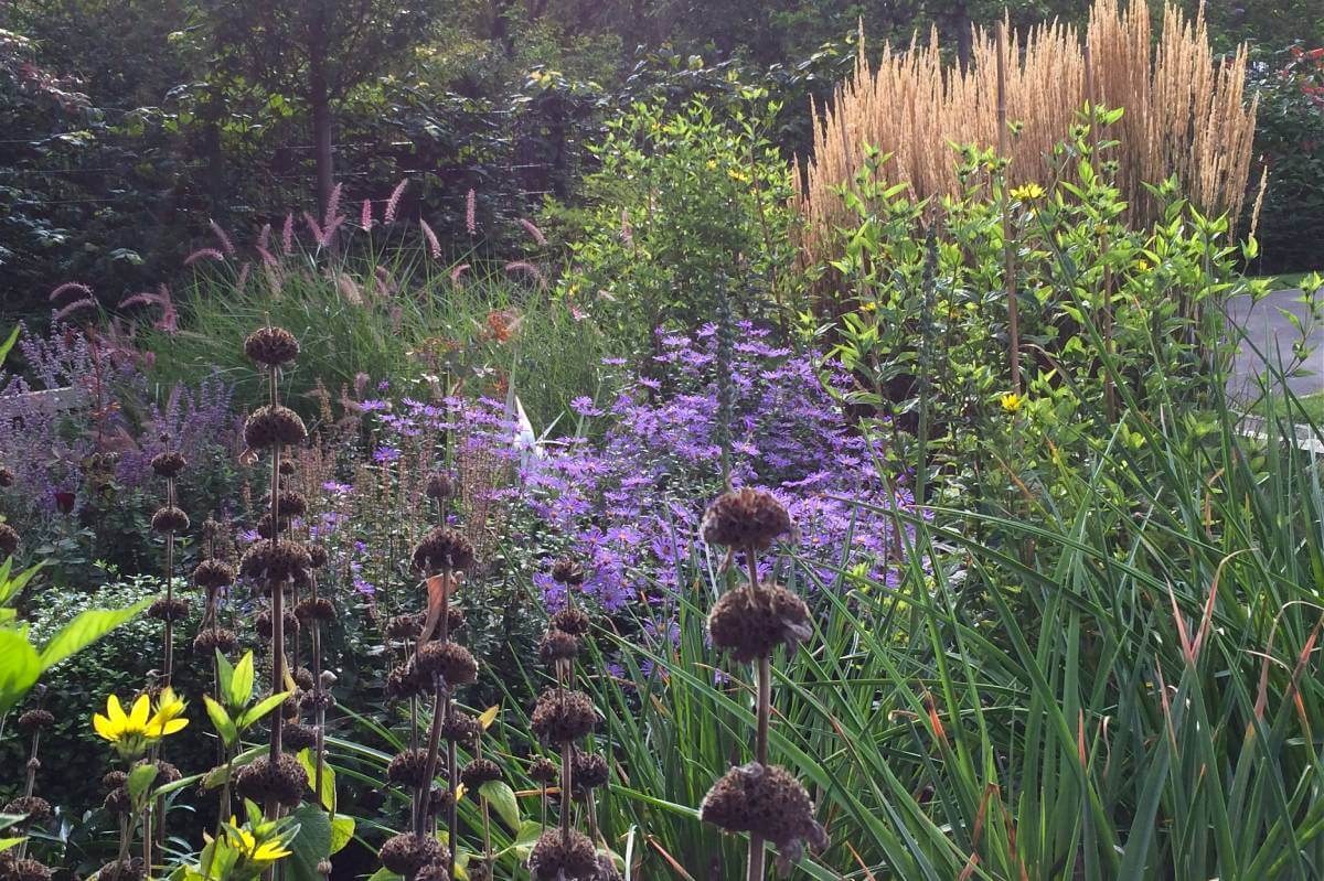 Helen Birch Garden Design - Design - Planting - Aftercare