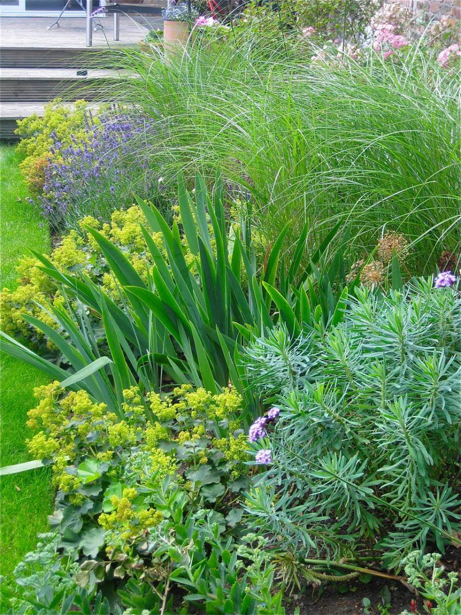 Helen Birch Garden Design - Design - Planting - Aftercare
